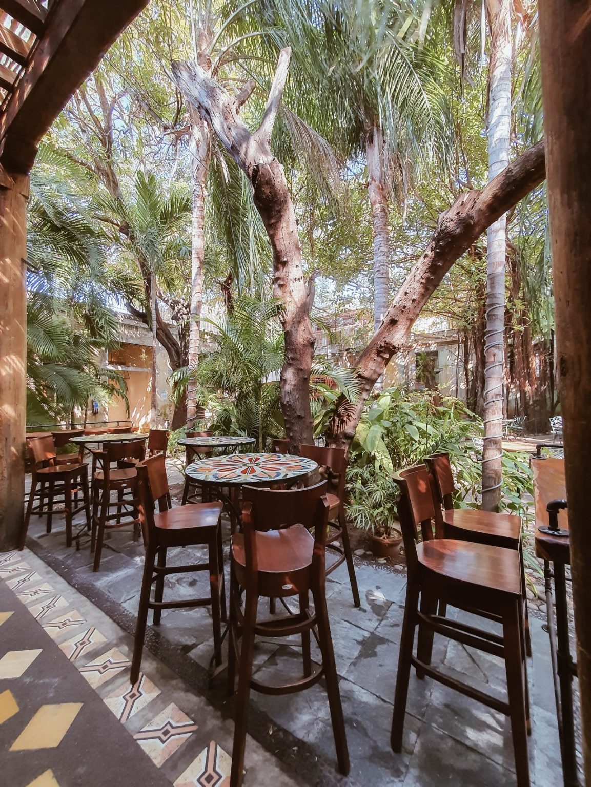 Mazatlan Restaurant Introductions / Reviews
